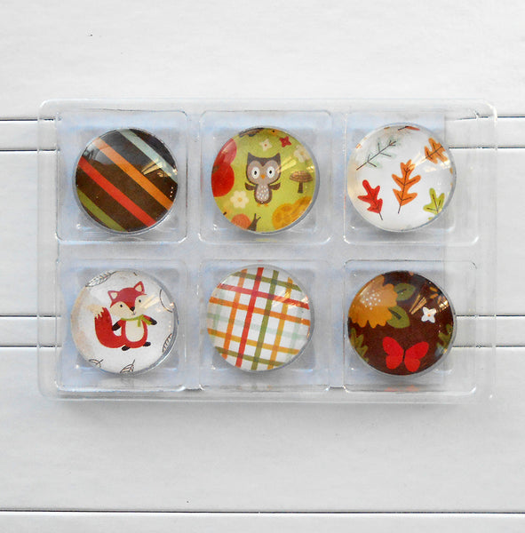 1" Round Glass Magnets | Set of 6 decorative refrigerator magnets – Sew ...