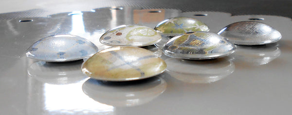 1" Round Glass Magnets | Set of 6 refrigerator magnets "Persnickety ...